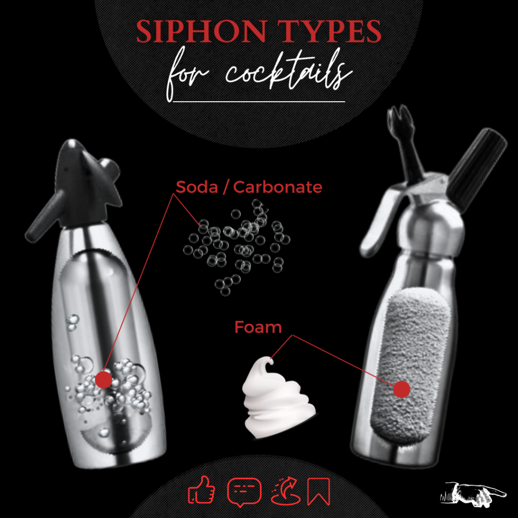 Types of a siphons for cocktail making: soda vs foam | Sanz Cocktails